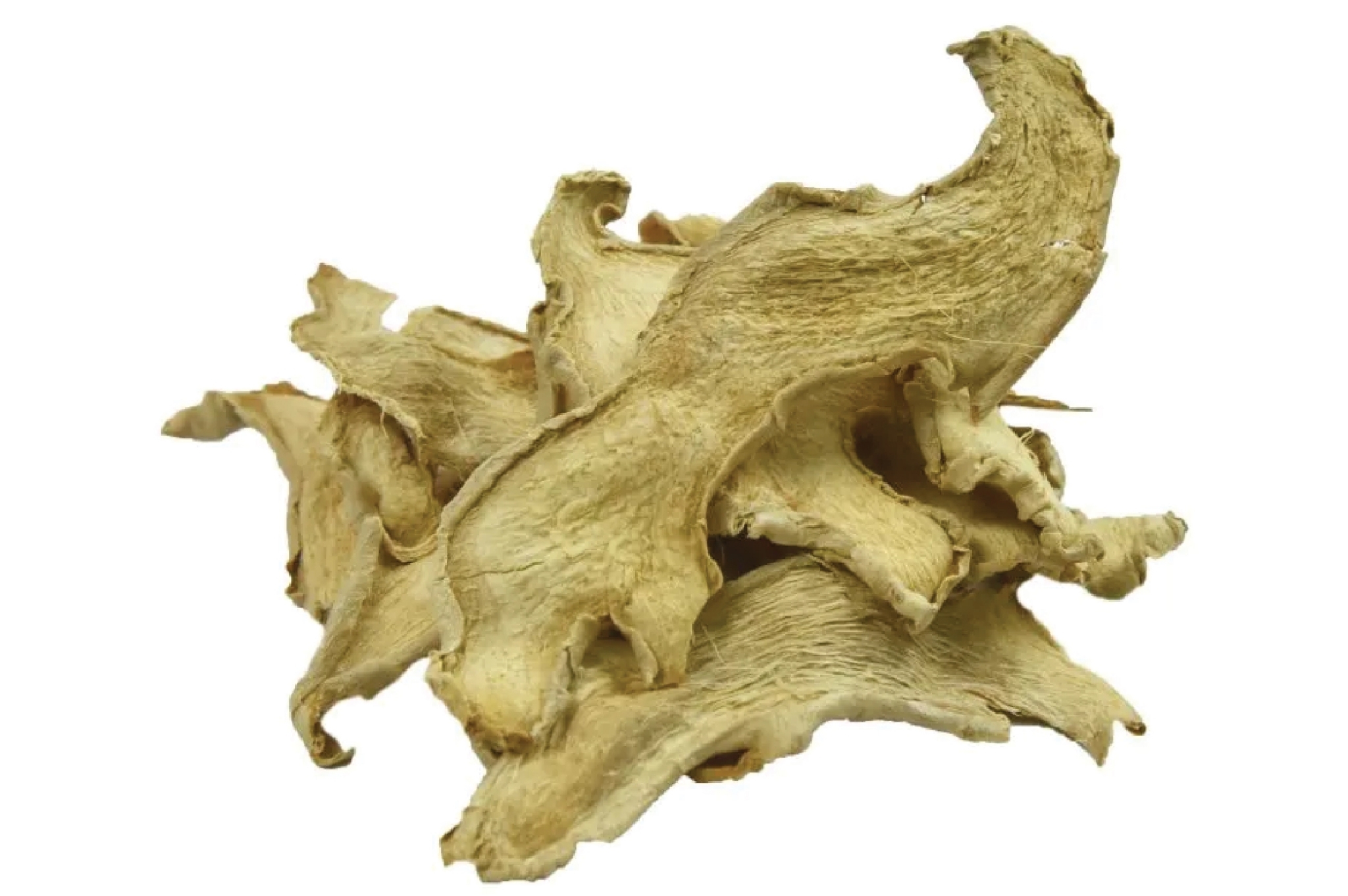 Dried galangal – Healthy Garden